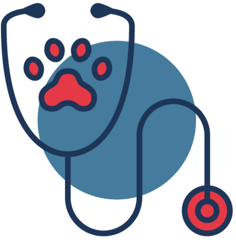 Veterinarian in Hubert, NC | AniMed Veterinary Hospital